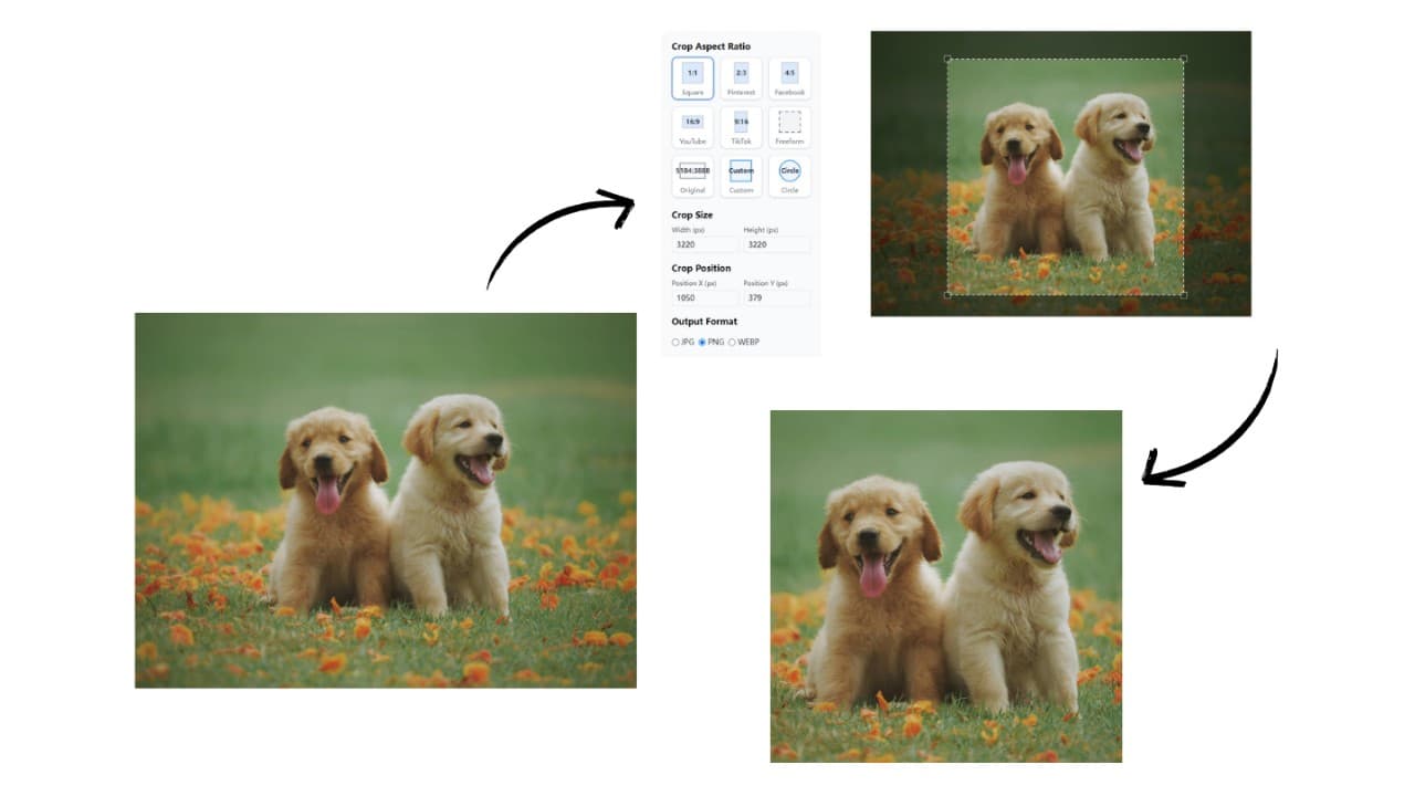 Free Image Cropper: Crop Image Online Fast - EasyCrop